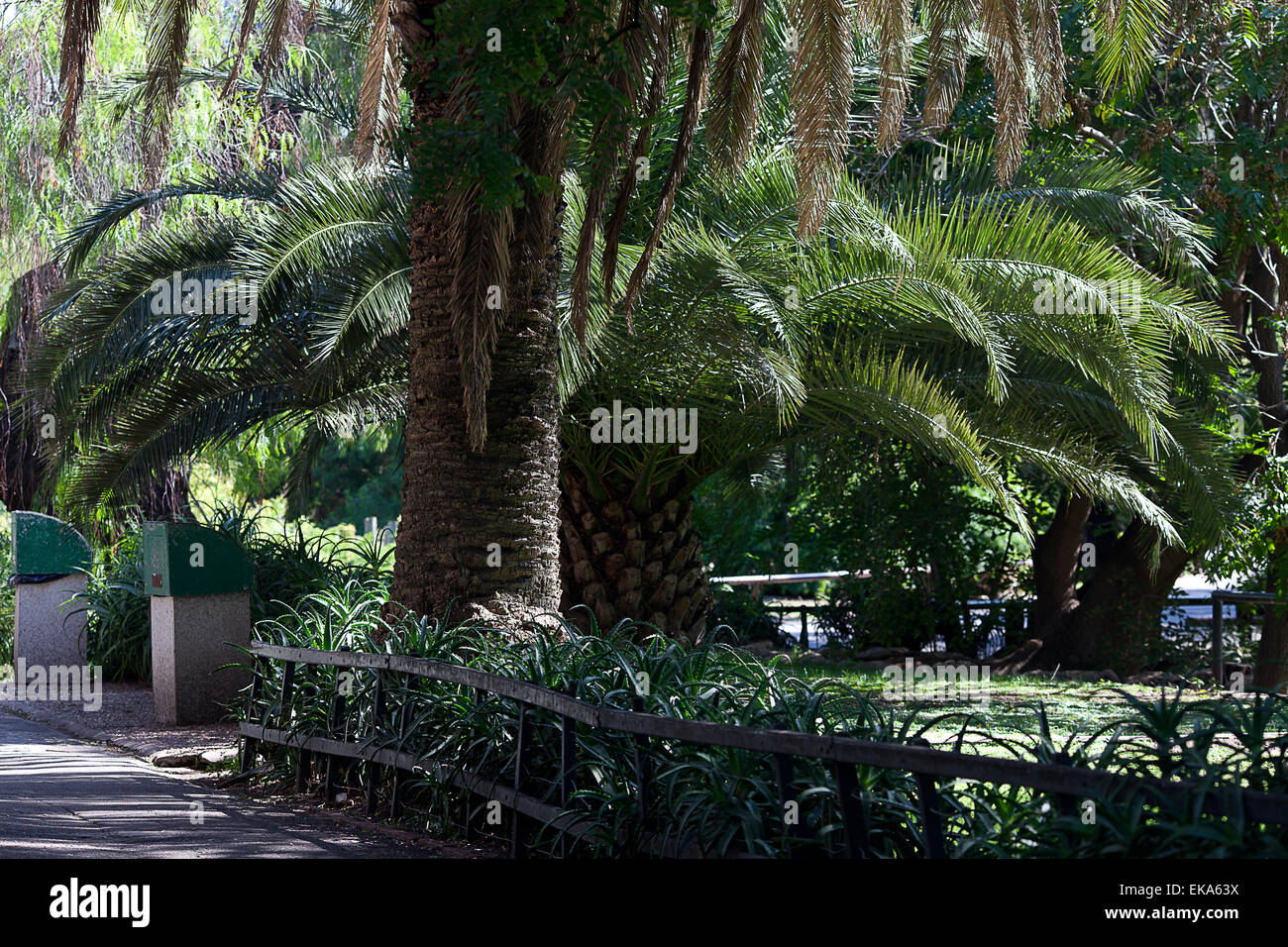 Zoo background hi-res stock photography and images - Alamy