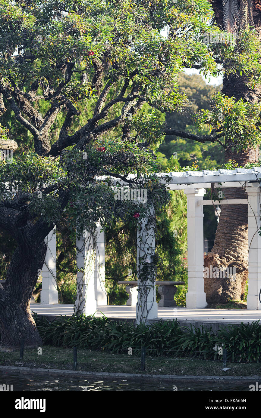 Beautiful white colonnade in the park with green trees Stock Photo - Alamy