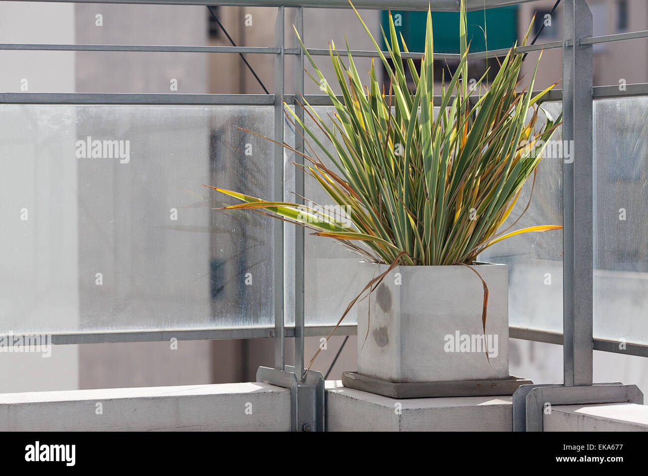 Pot roof hi-res stock photography and images - Alamy