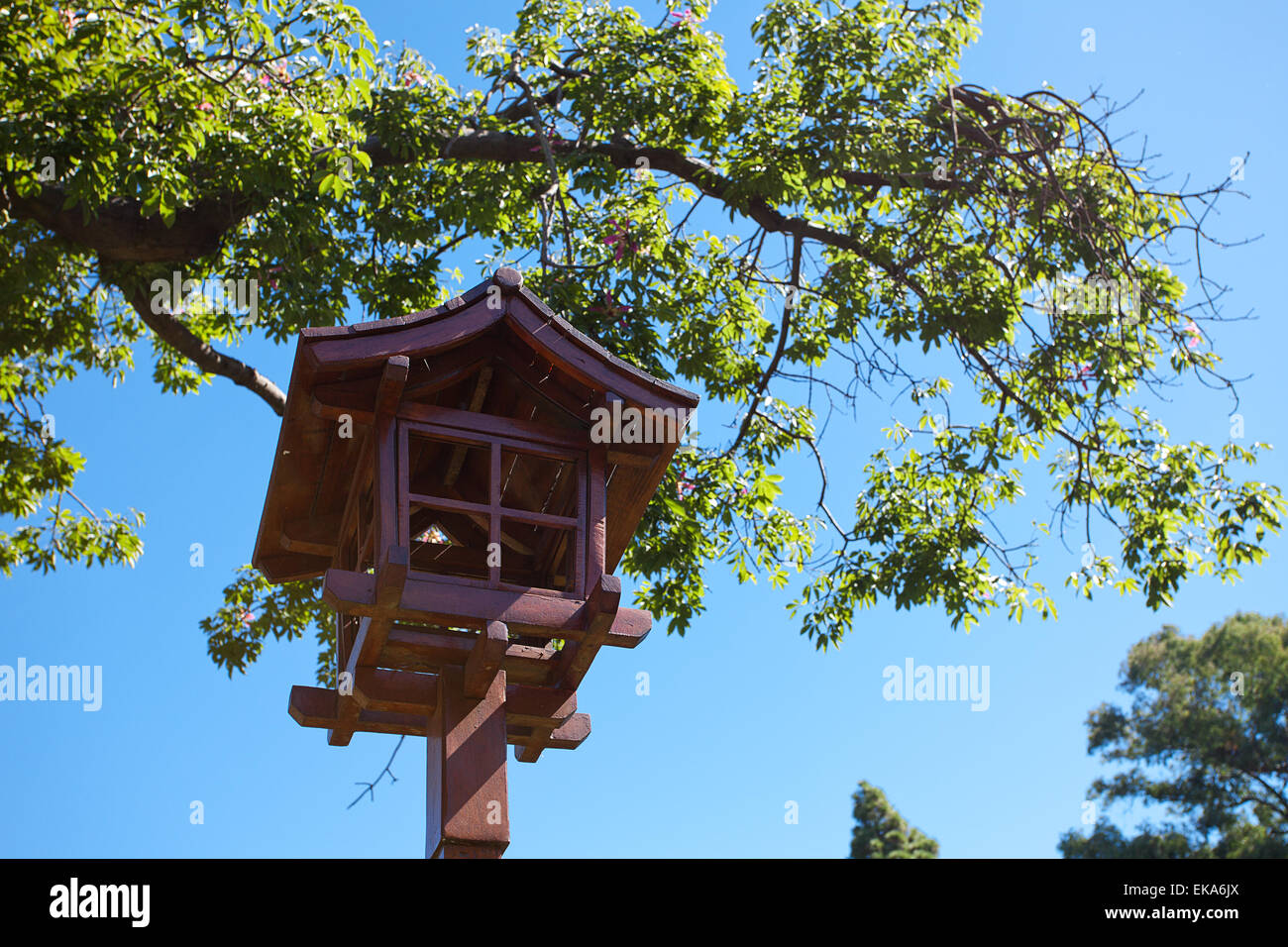 Japanese lantern on a background of blue sky Stock Photo - Alamy