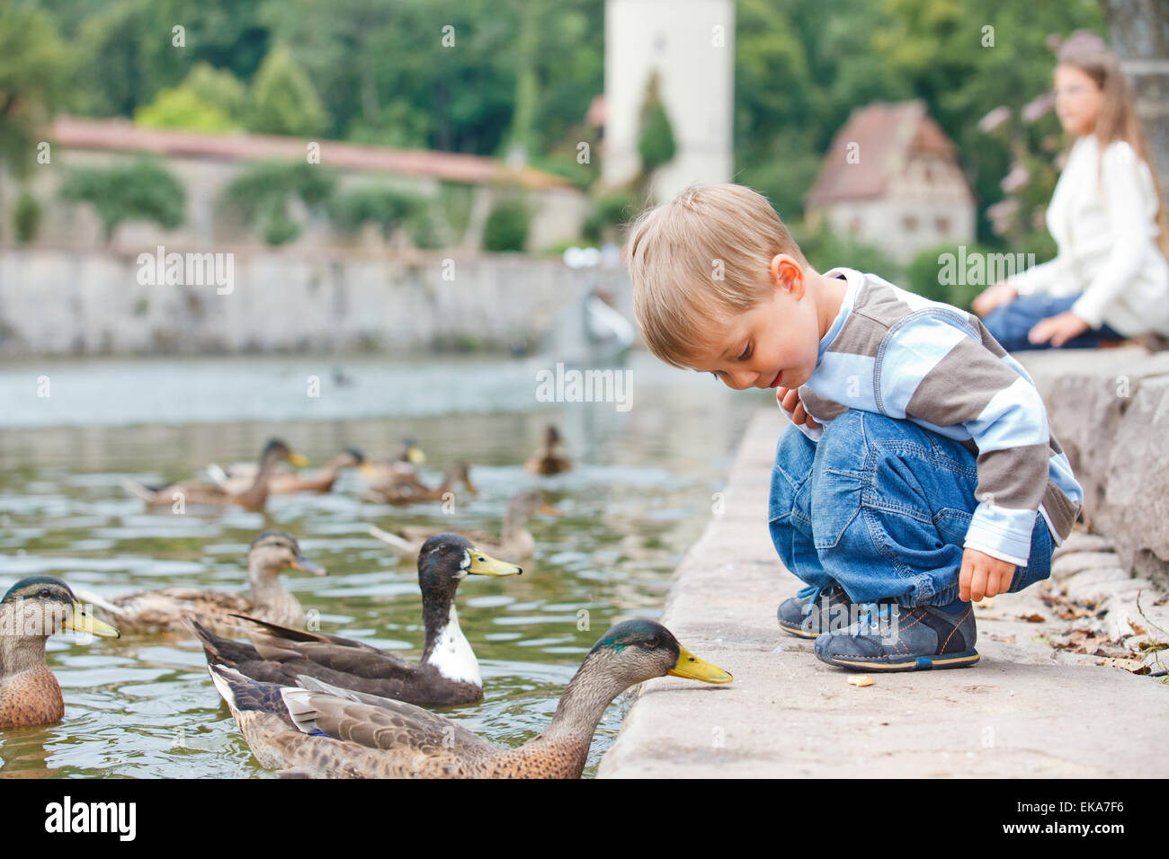 Cute little boy feeding ducks Stock Photo - Alamy Cute little boy feeding ducks Stock Photo - Alamy