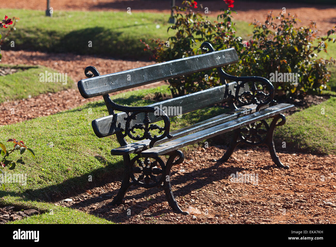lonely bench in the park on the grass background Stock Photo - Alamy