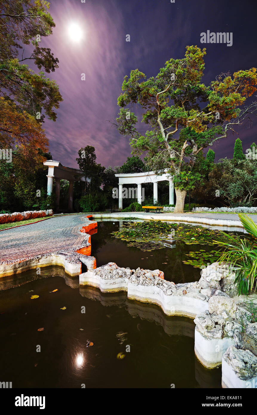 Tree branch columns hi-res stock photography and images - Alamy