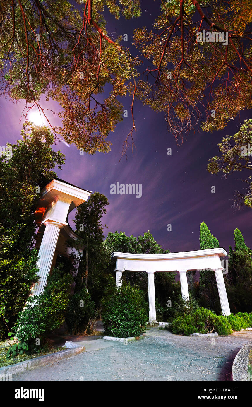 Tree branch columns hi-res stock photography and images - Alamy