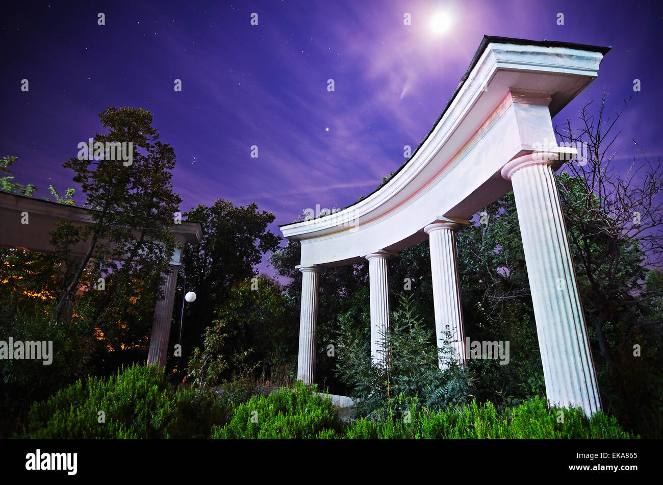 Tree branch columns hi-res stock photography and images - Alamy