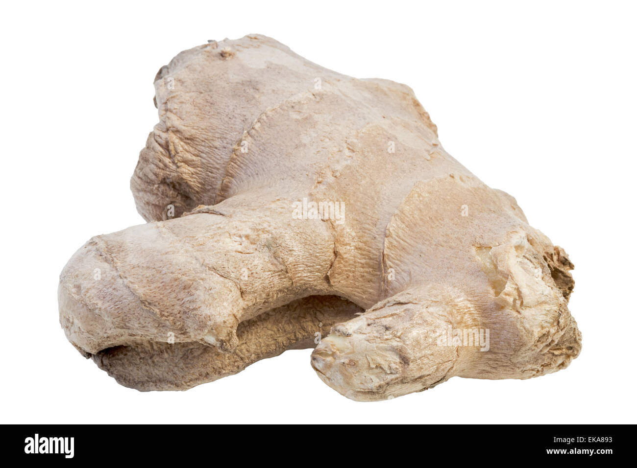 Closeup of a fresh ginger root, isolated on white background Stock ...
