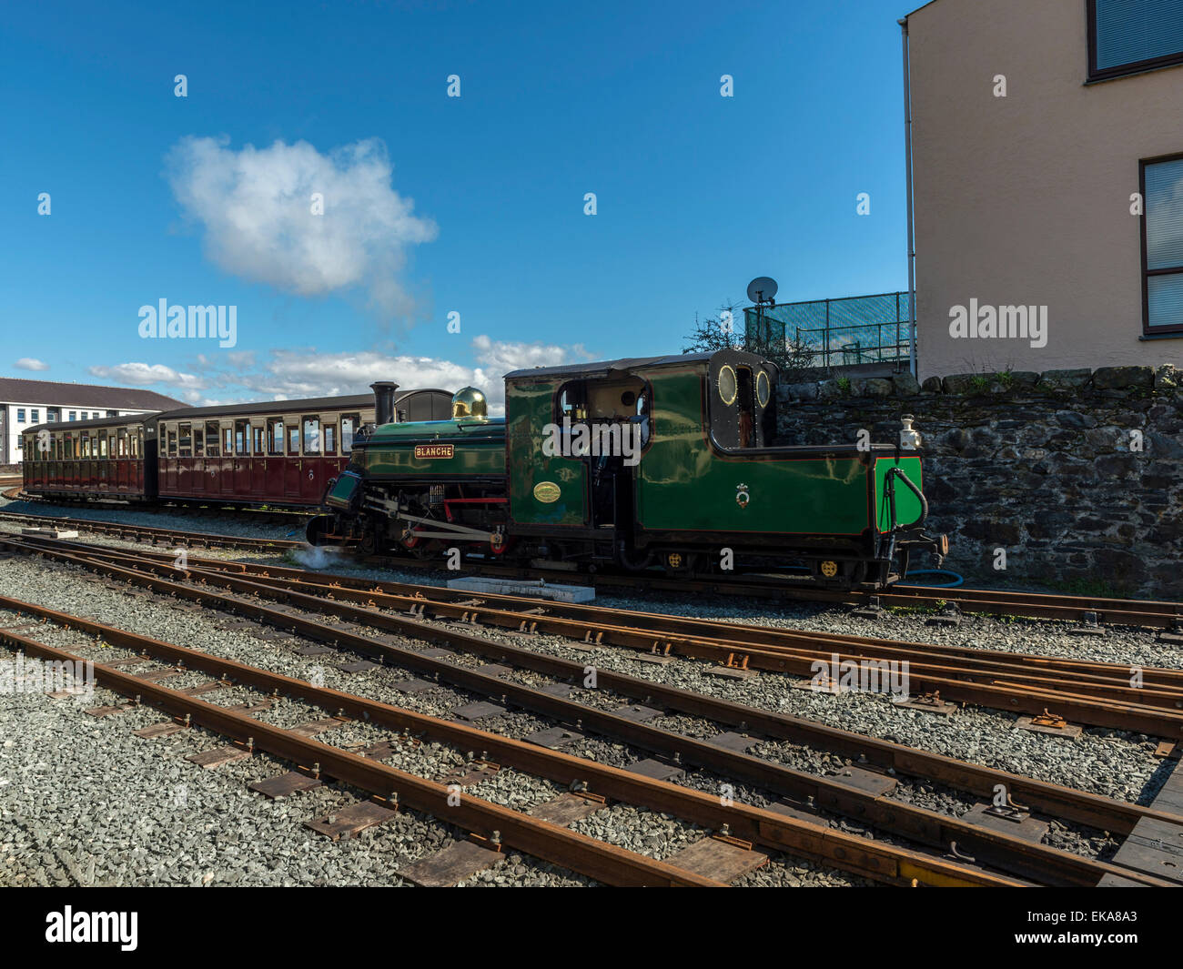 Blanche, a saddle-tank tender engine, lets off steam at Porthmadog ...