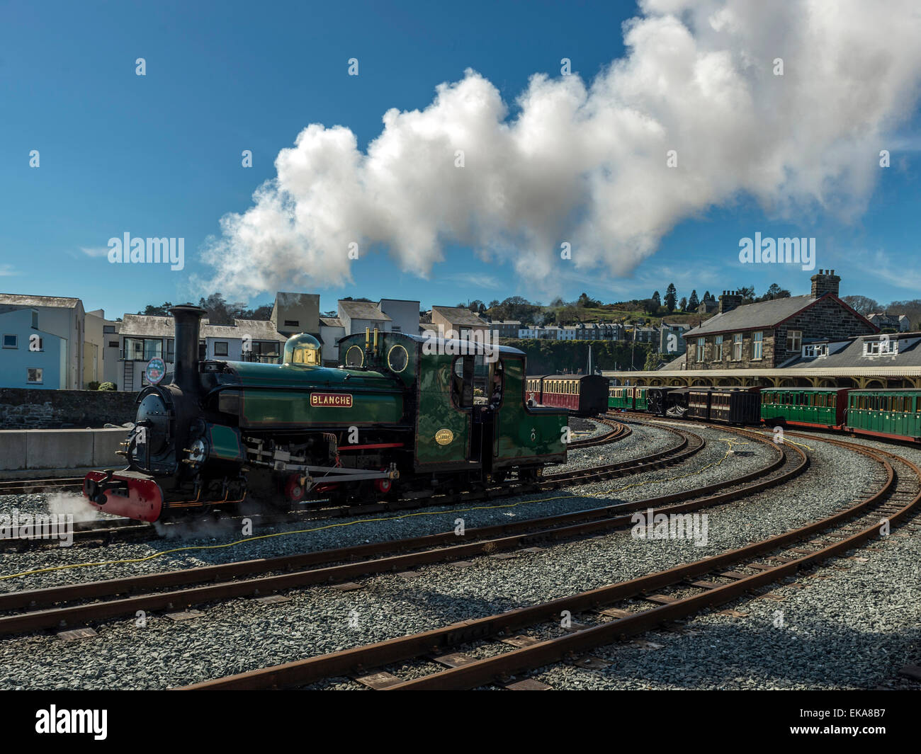Blanche, a saddle-tank tender engine, lets off steam at Porthmadog ...