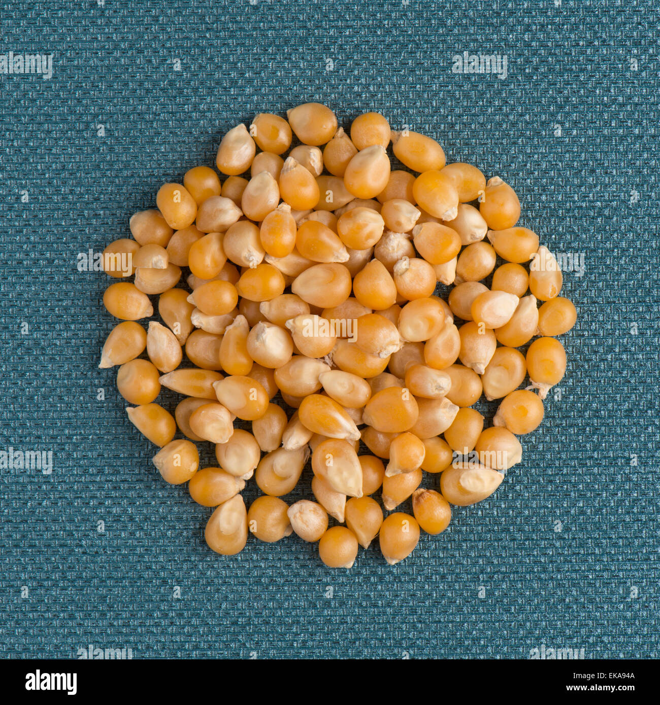 Top view of circle of corn against blue vinyl background Stock Photo ...