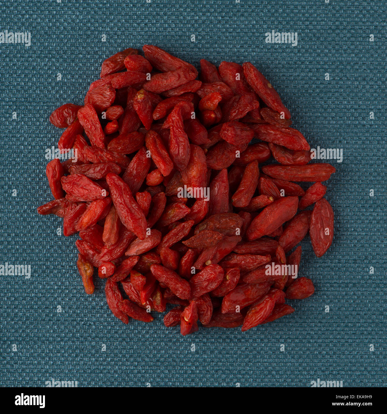Top view of circle of dry red goji berries against blue vinyl ...