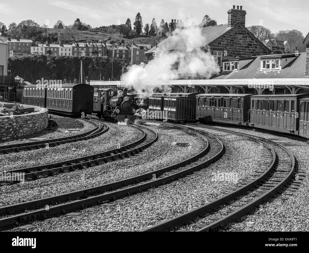 Blanche, a saddle-tank tender engine, lets off steam at Porthmadog ...