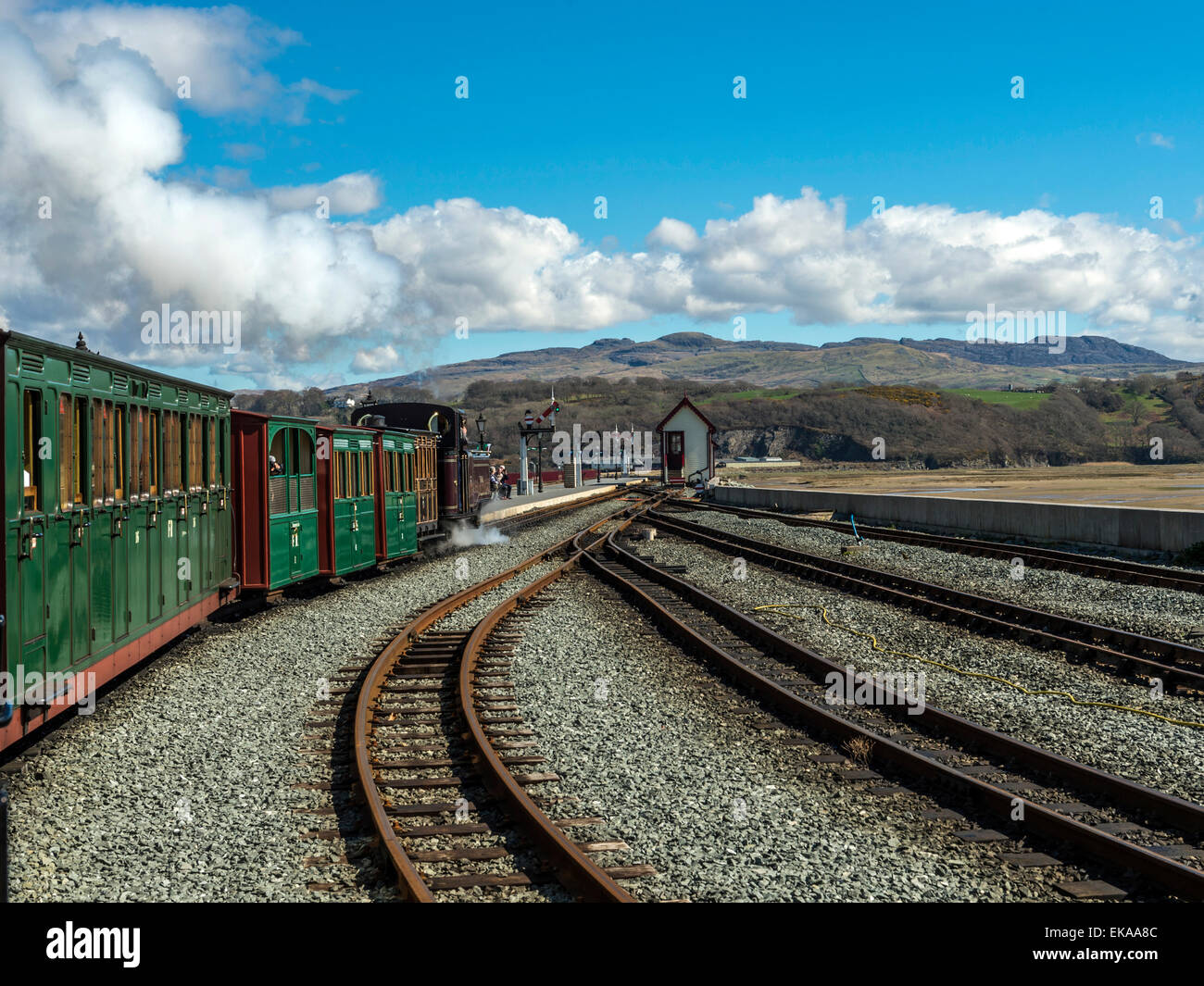 The Taliesin III, a Single Fairlie locomotive departs with spring bank ...