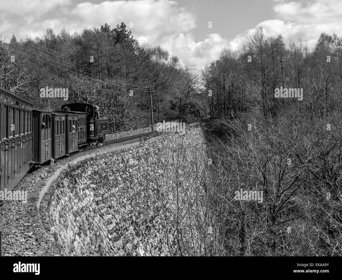 The Taliesin III, a Single Fairlie locomotive with carriages crosses ...