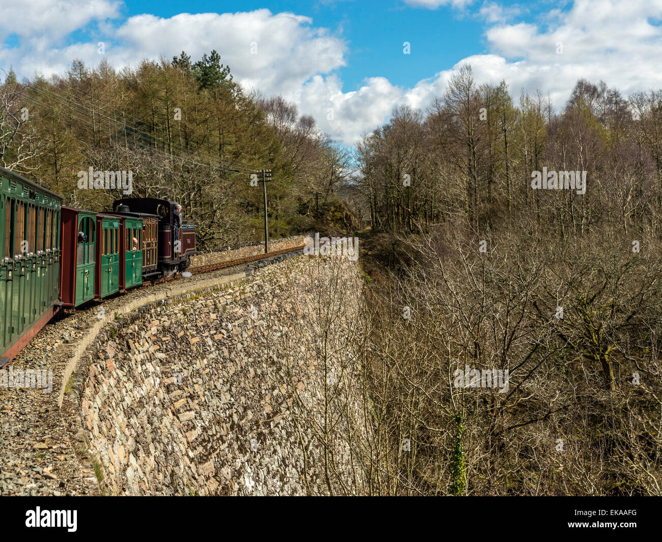 The Taliesin III, a Single Fairlie locomotive with carriages crosses ...