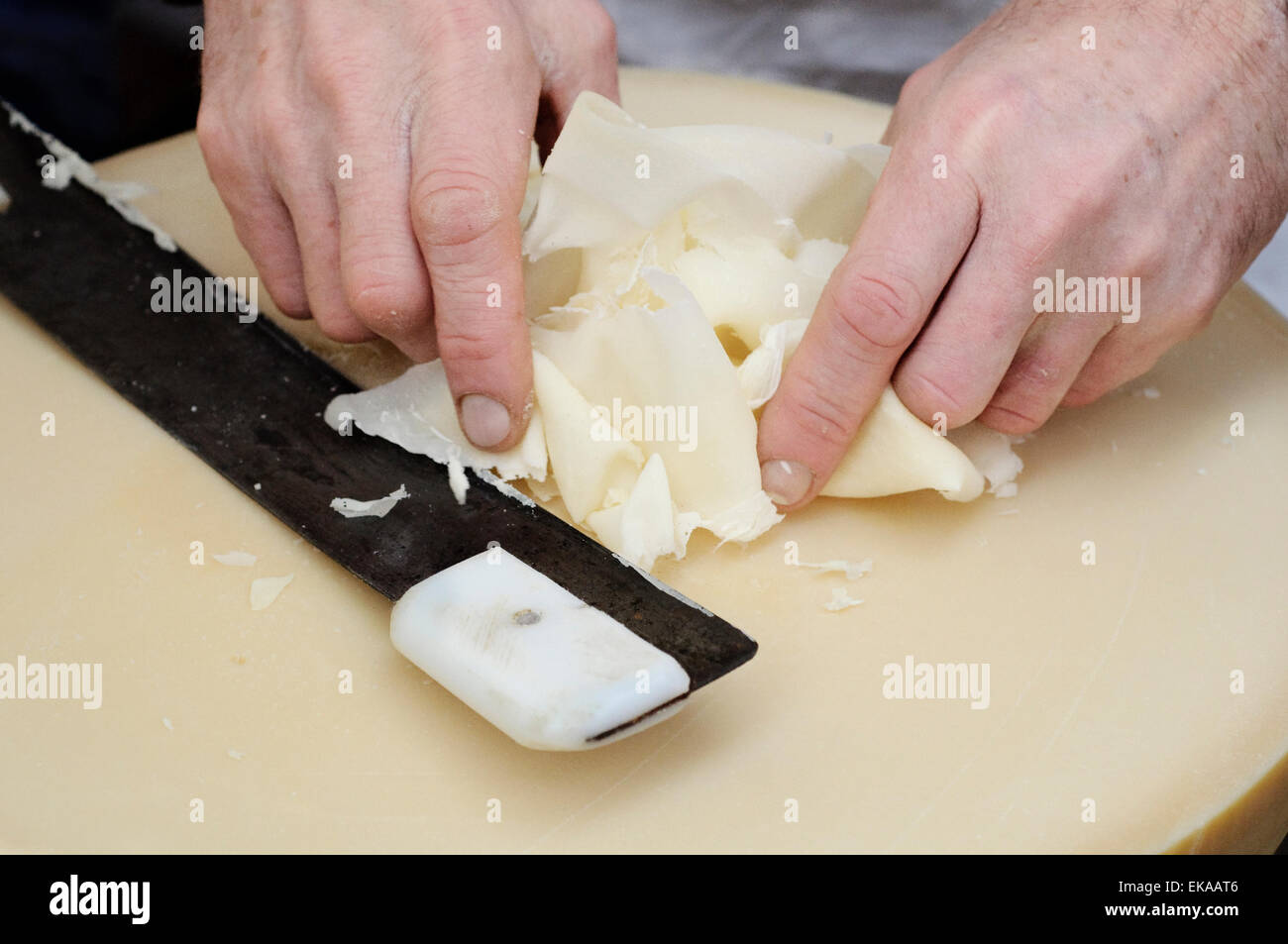 Italy, Lombardy, Lodi, Making of Raspadùra Cheese Sliced Young Parmesan ...