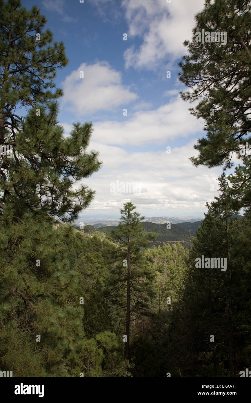 828 foot emory pass hi-res stock photography and images - Alamy