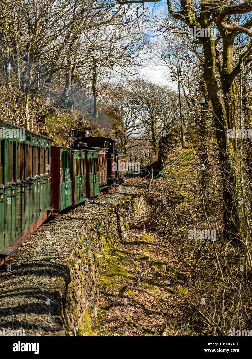 The Taliesin III, a Single Fairlie locomotive with carriages crosses ...
