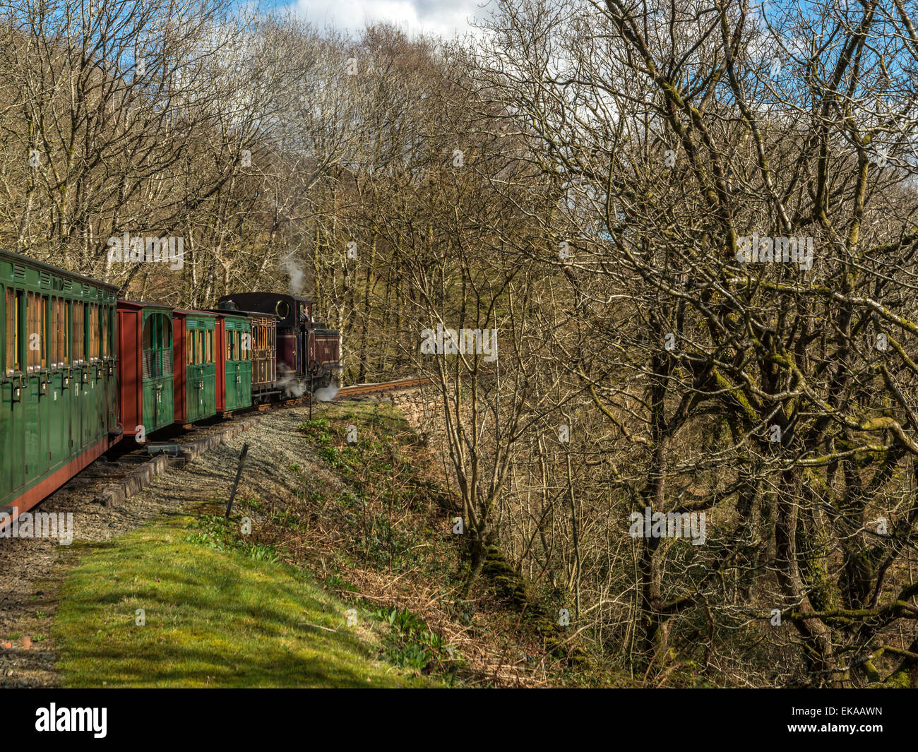The Taliesin III, a Single Fairlie locomotive with carriages crosses ...