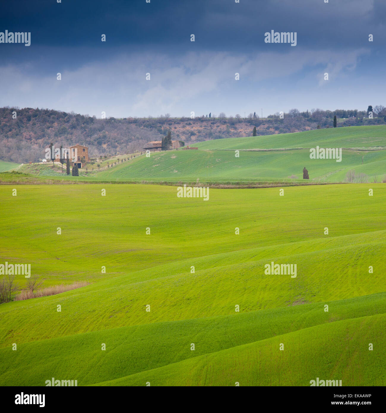 Typical Tuscan landscape in Italy Stock Photo - Alamy