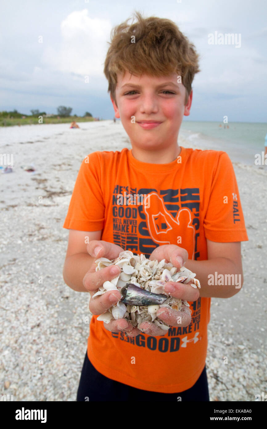 Collecting seashells seashell hi-res stock photography and images - Alamy