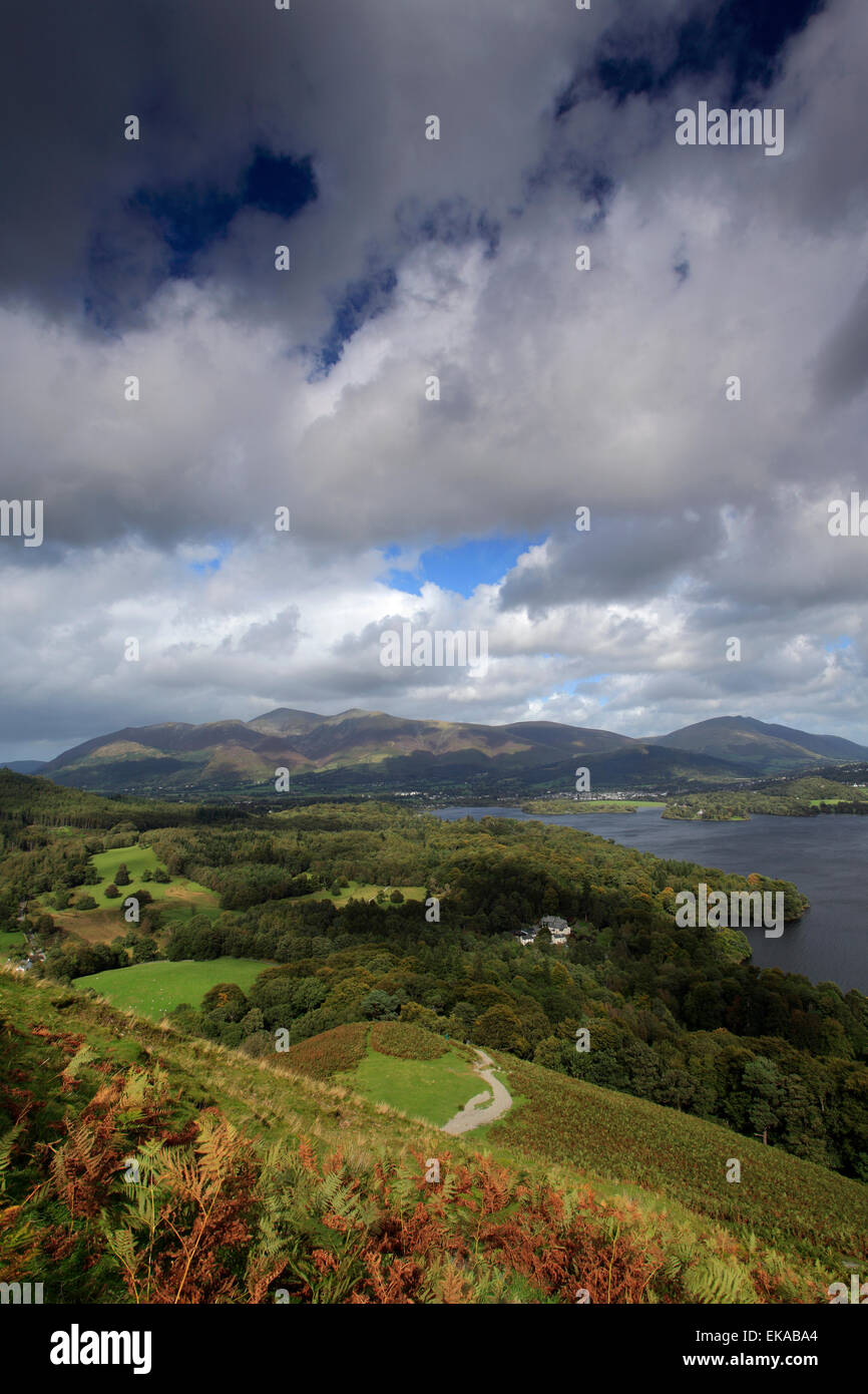 Cumbria Natural History High Resolution Stock Photography and Images ...