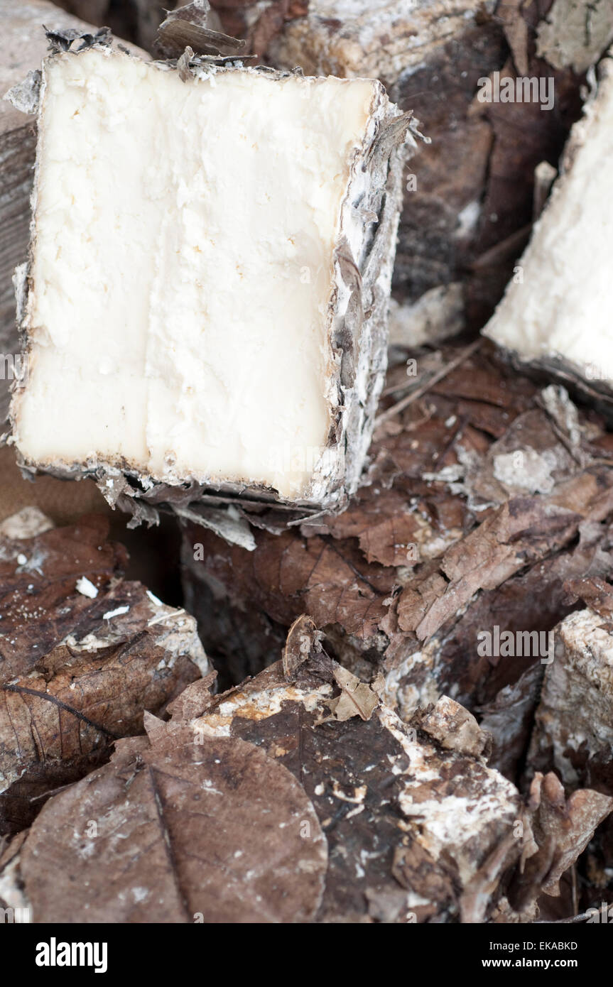 Italy, Tuscany, Cheese Wrapped in Walnut Leaves Stock Photo - Alamy