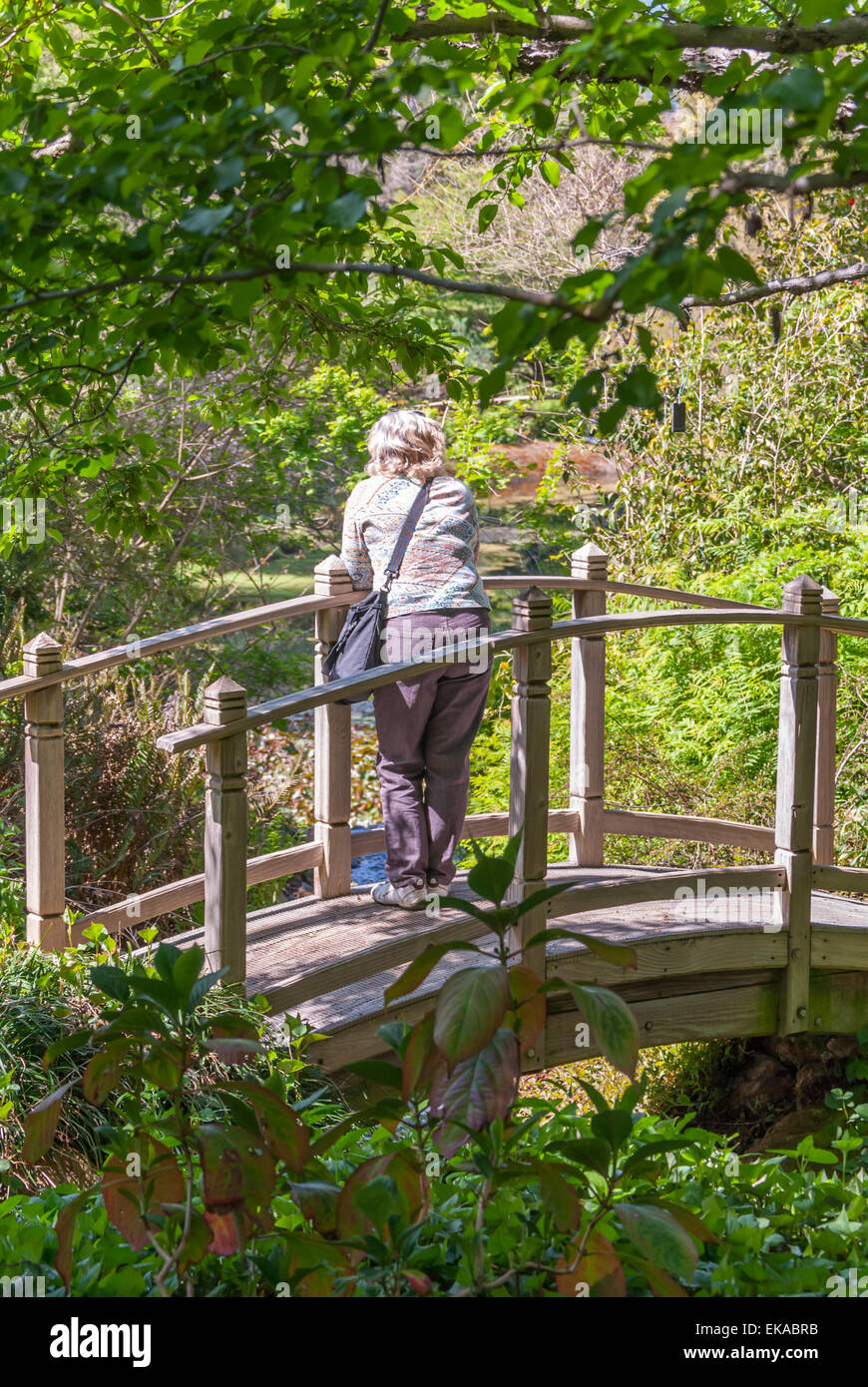 Woman standing on bridge looking at the view Stock Photo - Alamy
