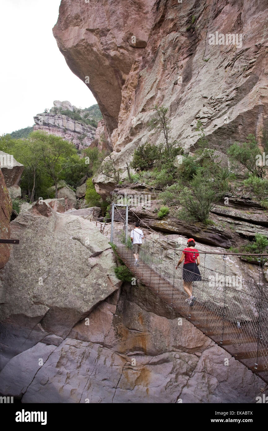 The Catwalk, a popular National Recreation Trail in the Gila National ...