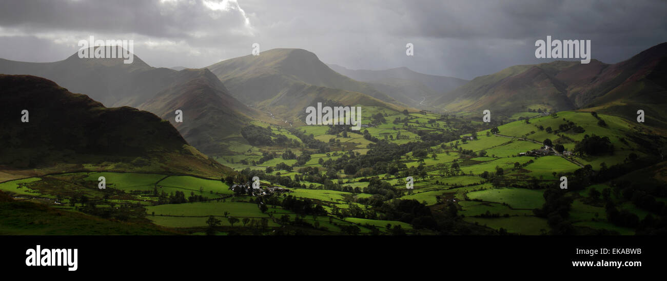 Cumbria natural history hi-res stock photography and images - Alamy