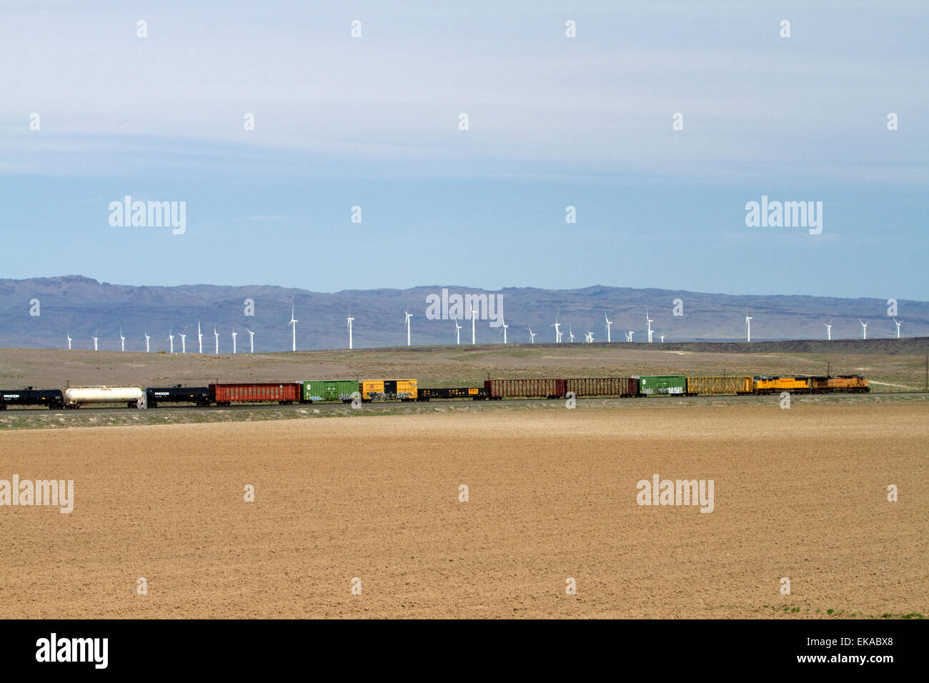 Union Pacific Railroad train traveling past a line of wind powered ...