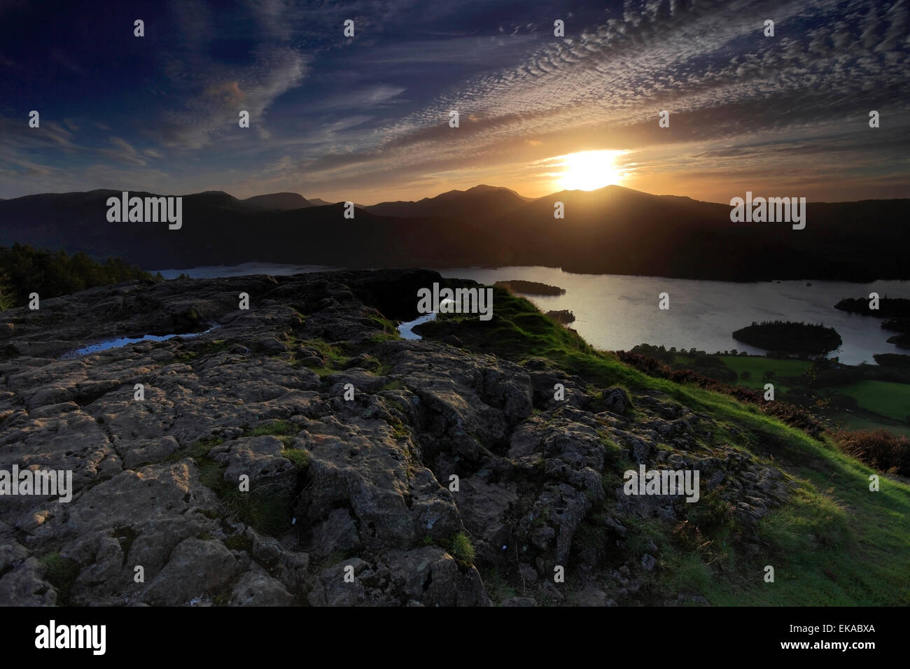 Cumbria Natural History High Resolution Stock Photography and Images ...