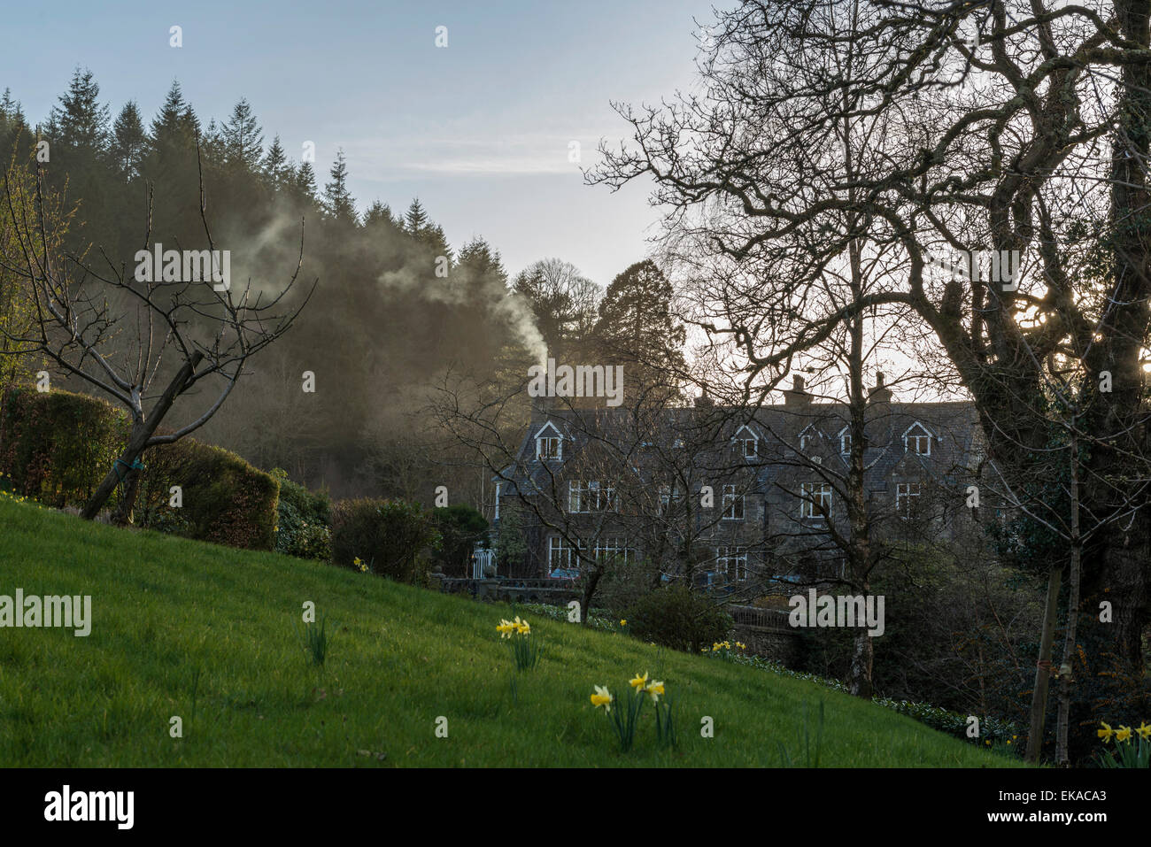 Welsh woodland sunset scene hi-res stock photography and images - Alamy