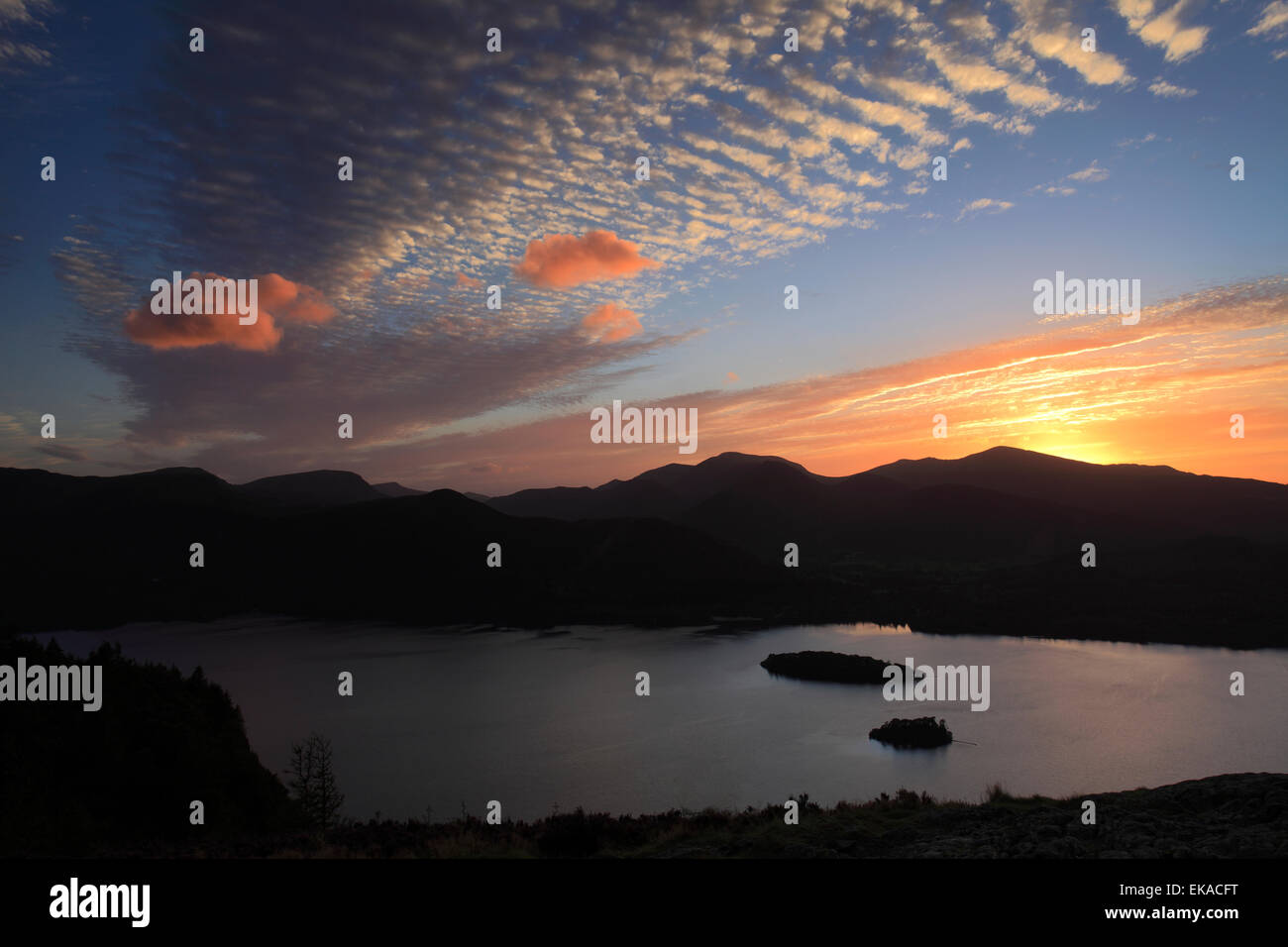 Cumbria Natural History High Resolution Stock Photography and Images ...