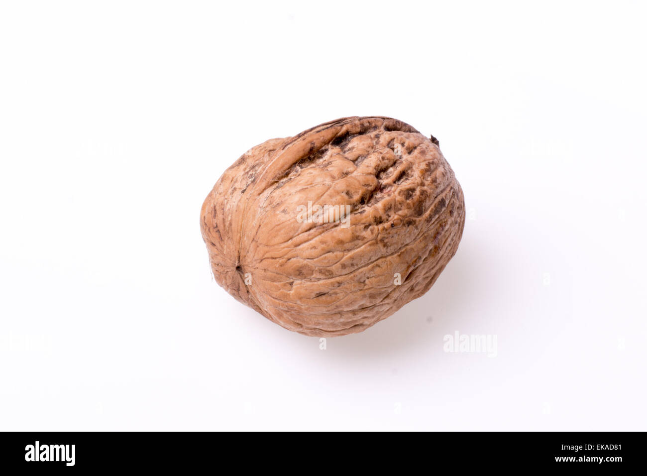 Walnut isolated on the white background Stock Photo - Alamy