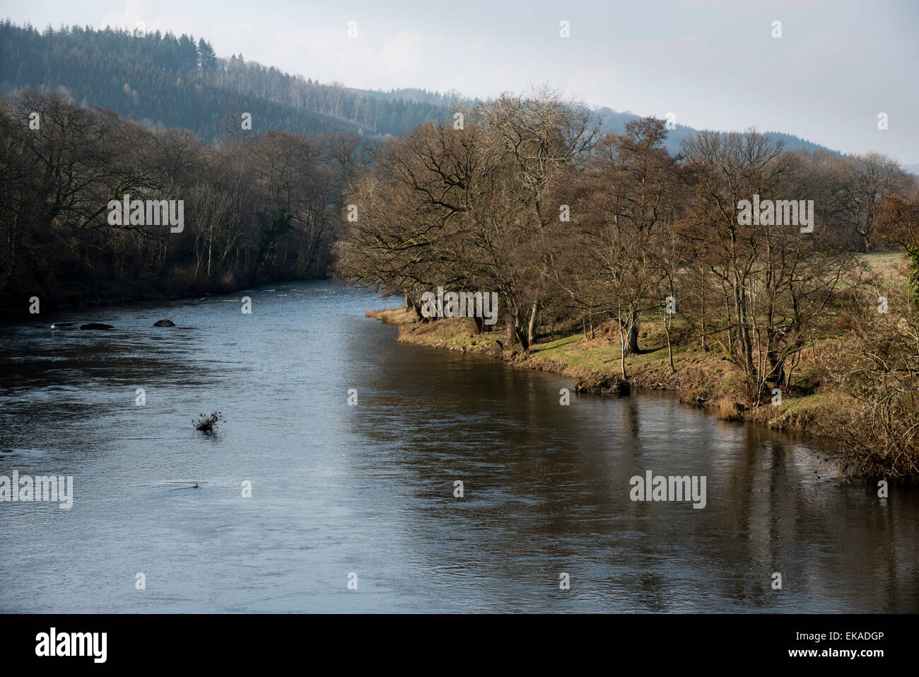 The river Wye near Llyswen, Powys, Wales, UK Stock Photo - Alamy