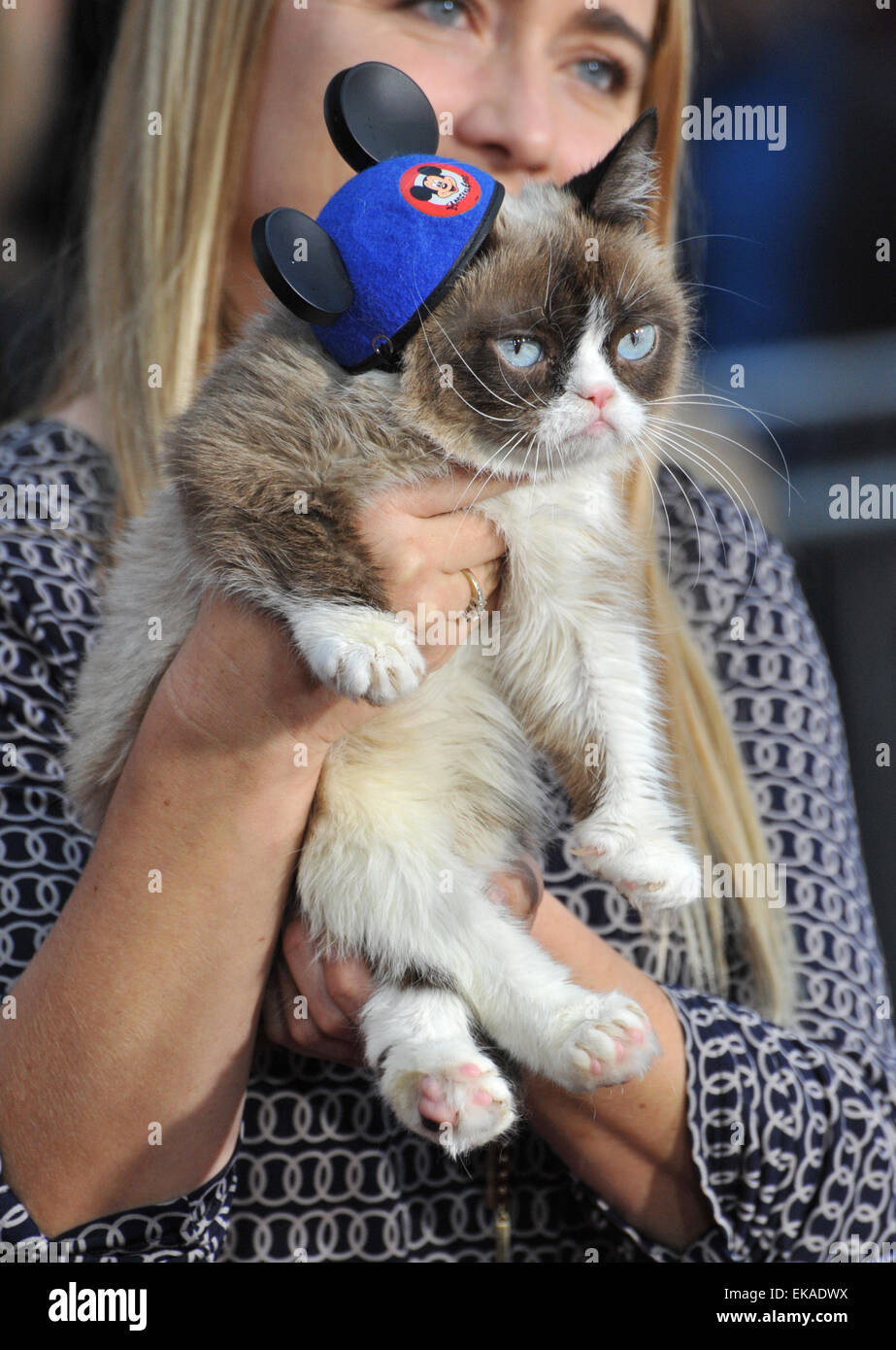 LOS ANGELES, CA - MARCH 1, 2015: Grumpy Cat at the world premiere of ...
