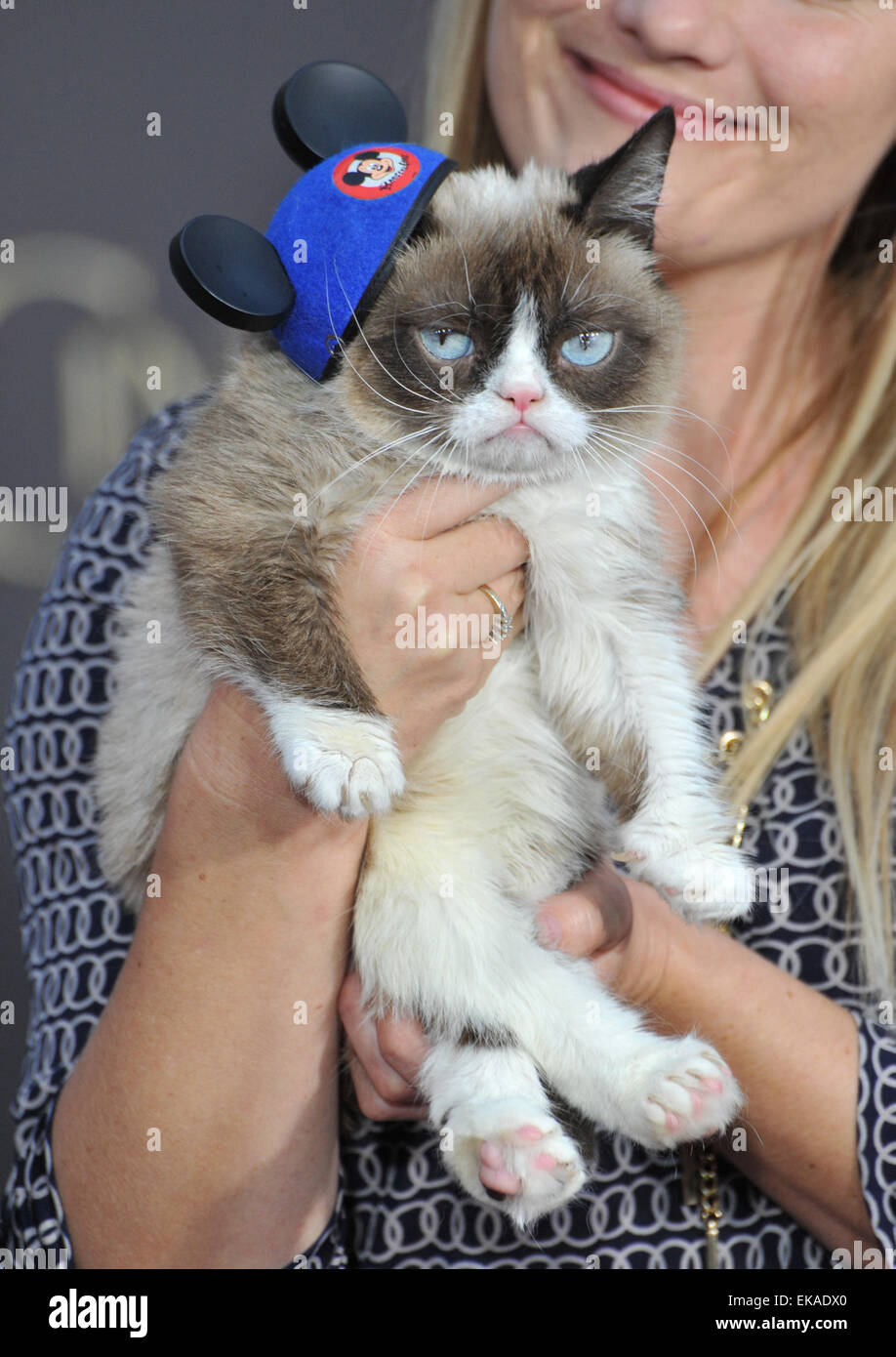 LOS ANGELES, CA - MARCH 1, 2015: Grumpy Cat at the world premiere of ...