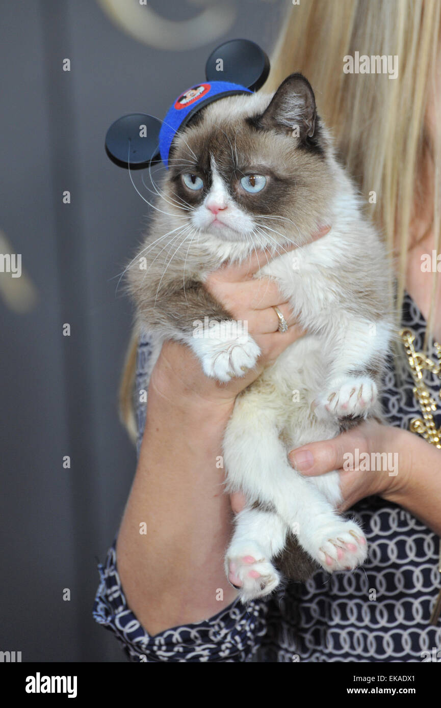 LOS ANGELES, CA - MARCH 1, 2015: Grumpy Cat at the world premiere of ...