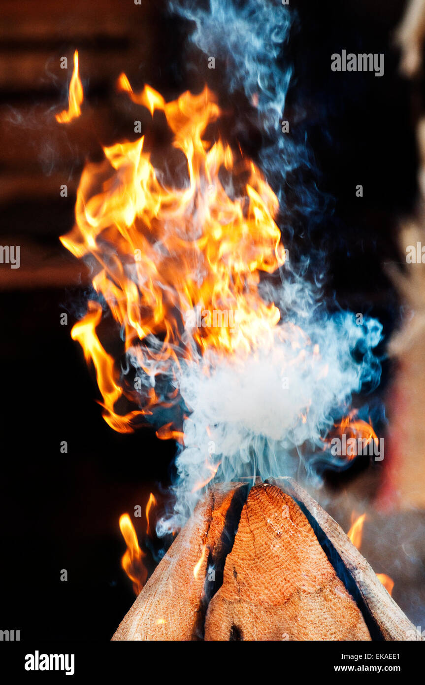 Fire Smouldering in a Tree Trunk Stock Photo - Alamy