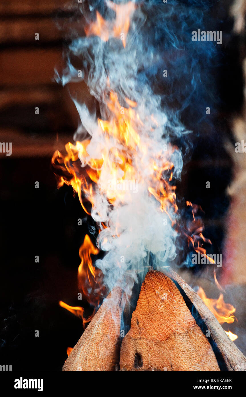 Fire Smouldering in a Tree Trunk Stock Photo - Alamy