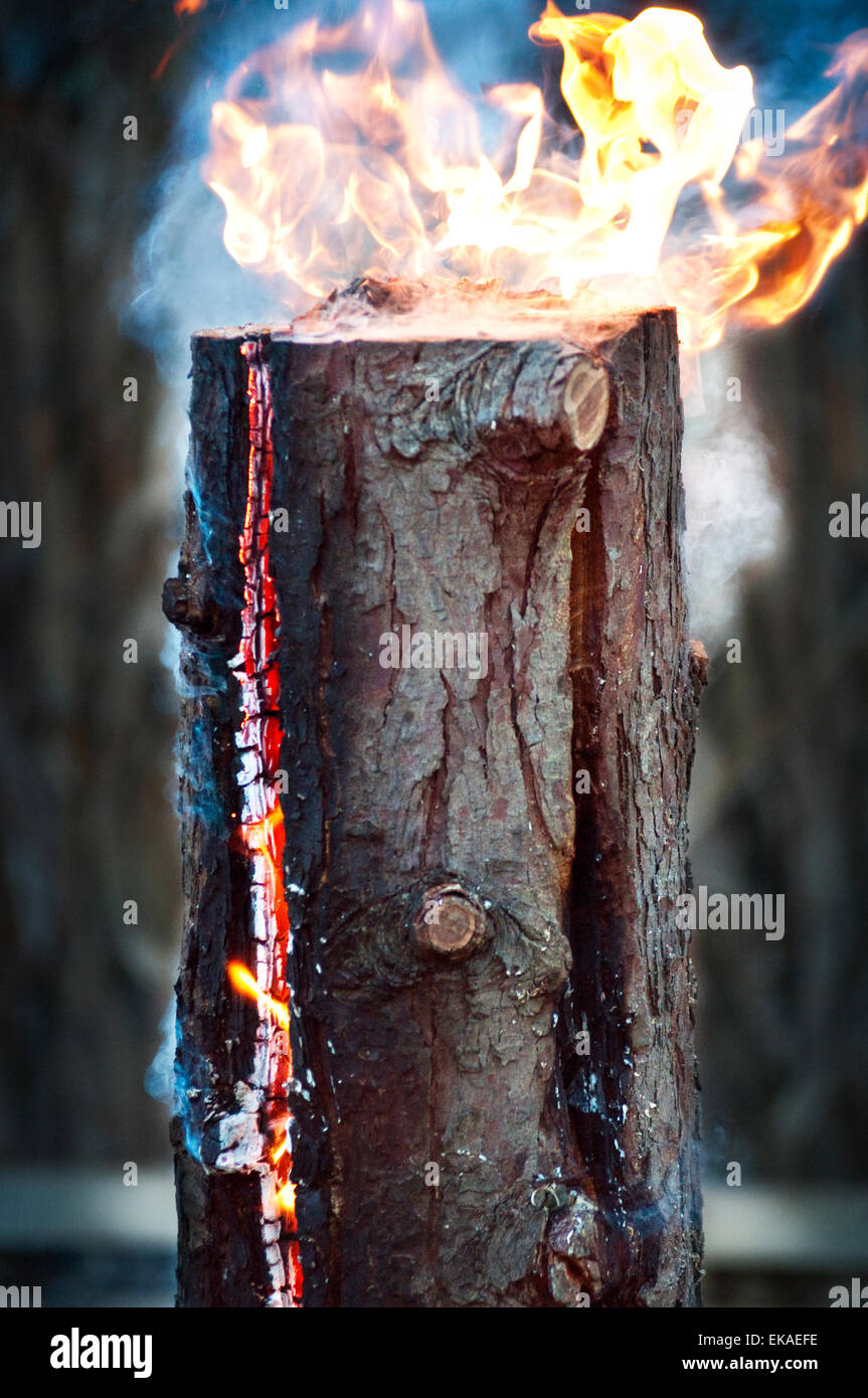 Fire Smouldering in a Tree Trunk Stock Photo - Alamy