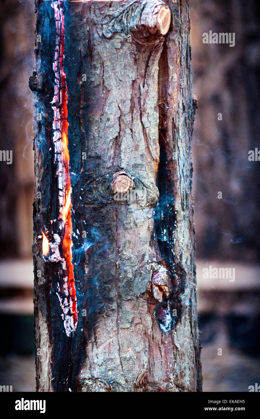 Smouldering wood hi-res stock photography and images - Alamy