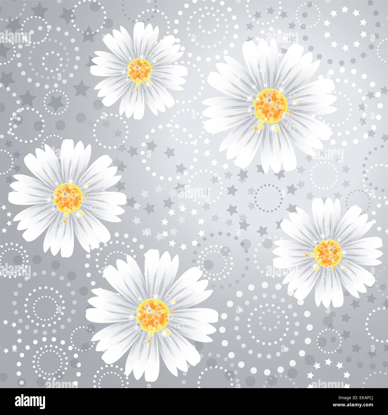 Daisy flowers on gray background. Vector illustration Stock Photo - Alamy