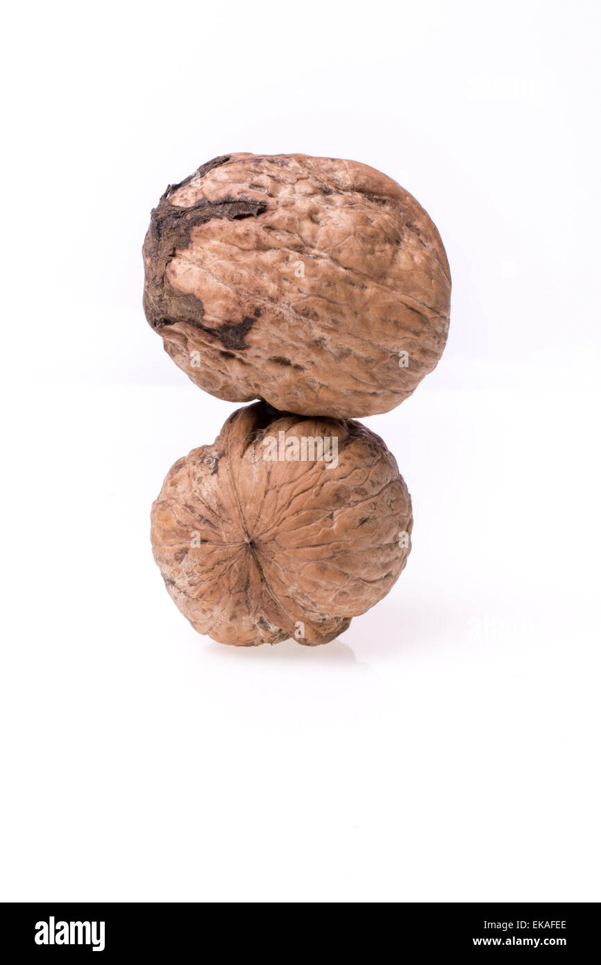 Walnut isolated on the white background Stock Photo - Alamy