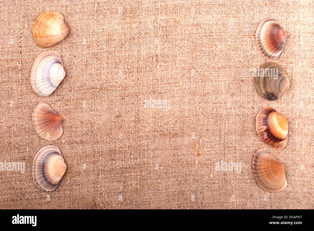 Shell cord hi-res stock photography and images - Alamy