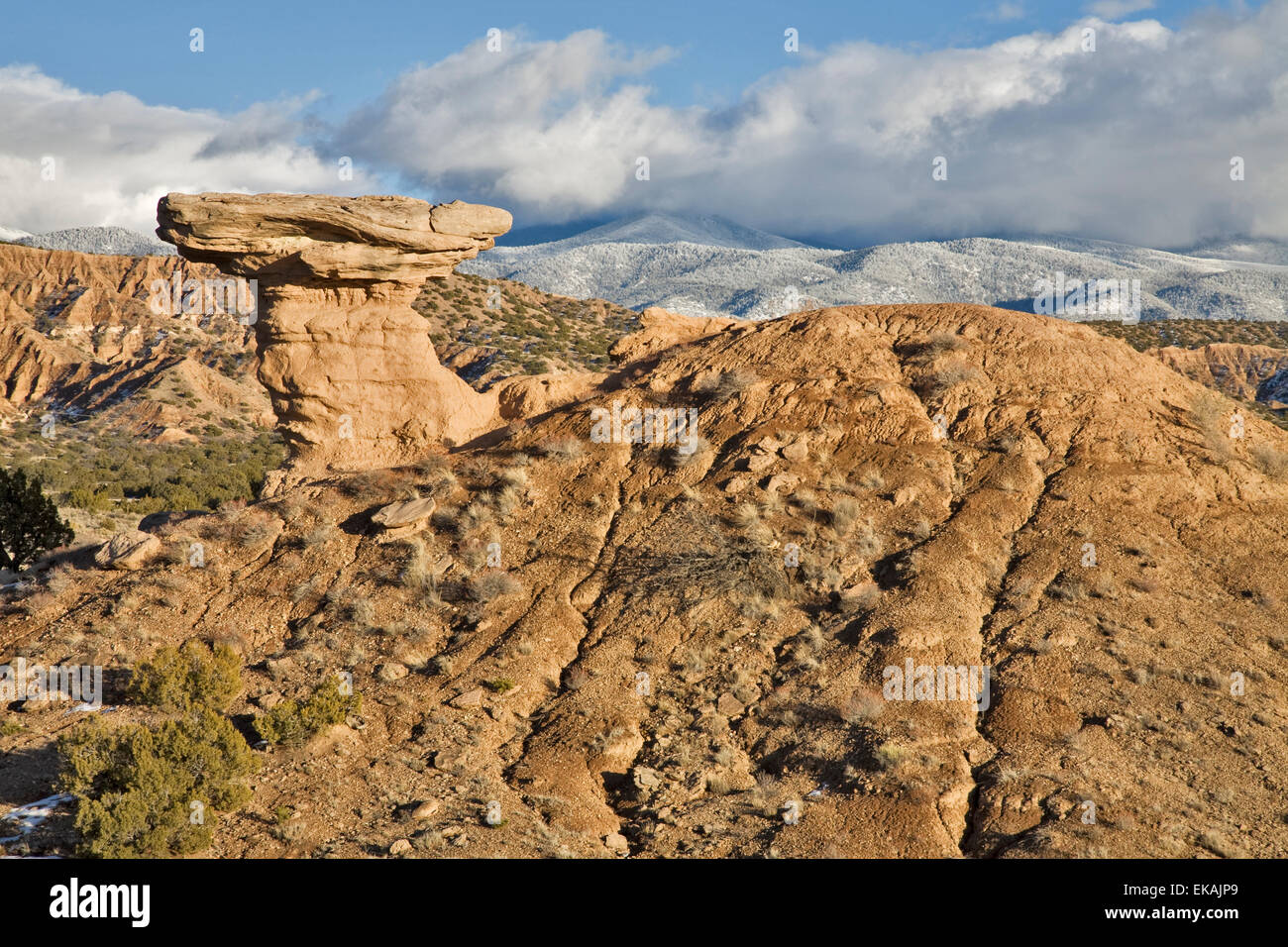 A winter scene featuring Camel Rock, an unusual earth formation which ...