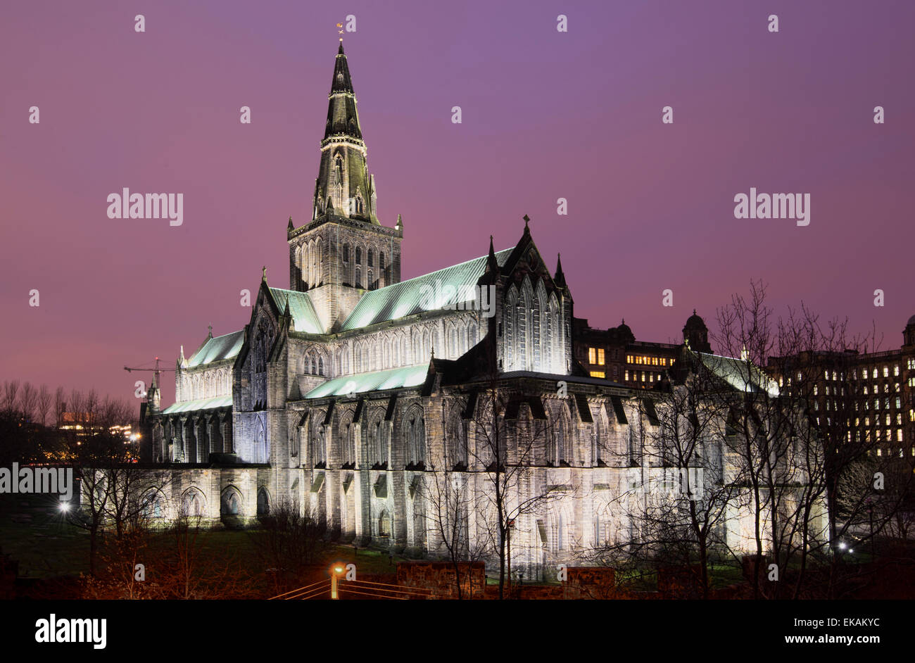 Glasgow Cathedral at night Stock Photo - Alamy