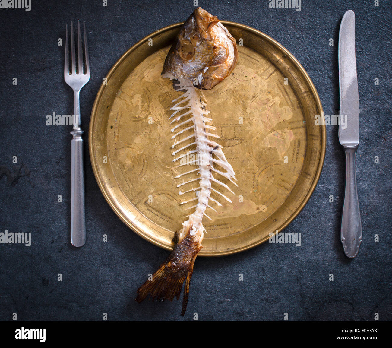 Glithead sea bream hi-res stock photography and images - Alamy