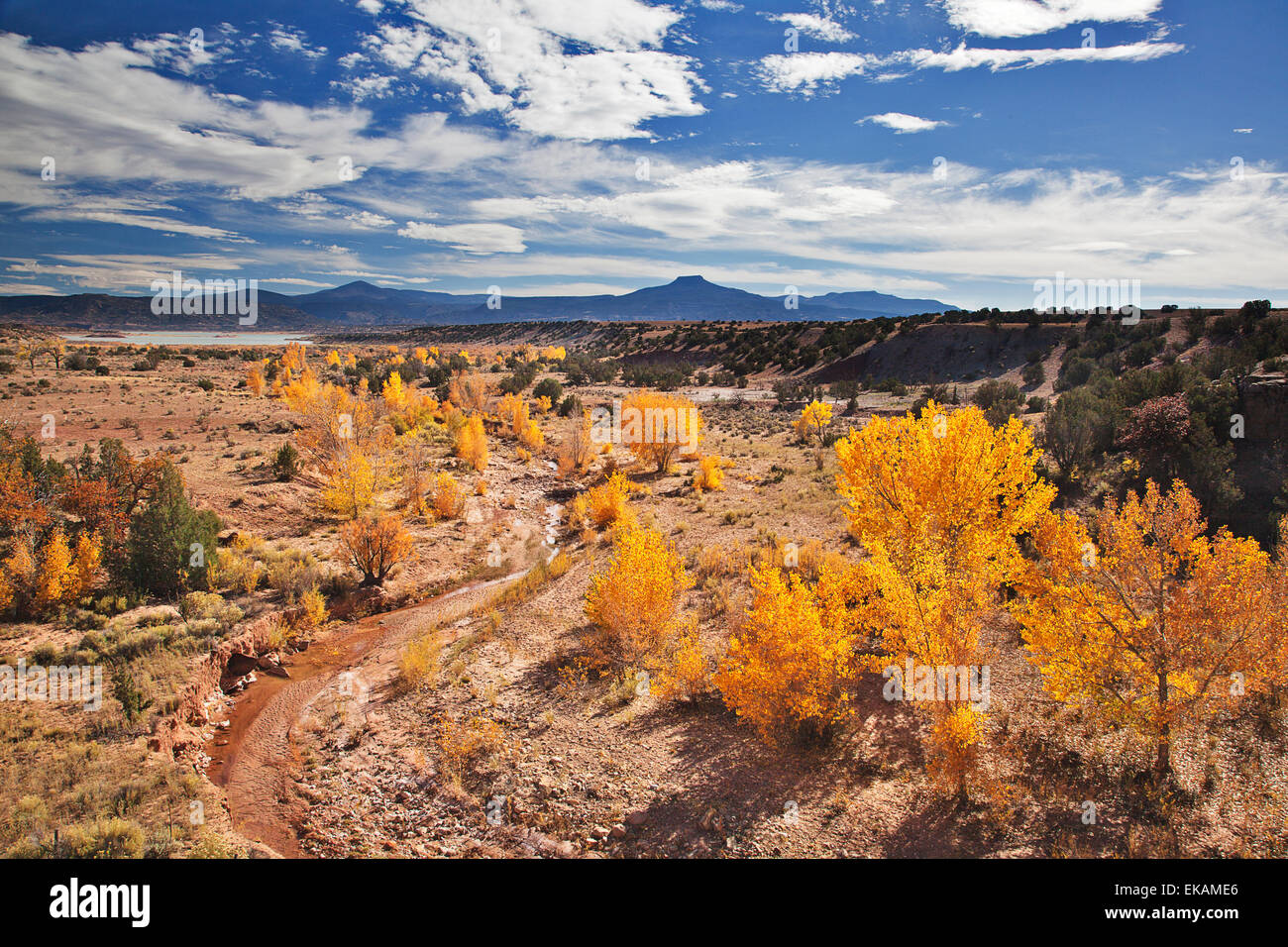 The autumn colors at Ghost Ranch consist of oaks, cottonwoods, salt ...
