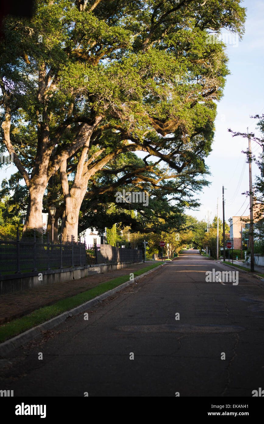 Natchez miss hi-res stock photography and images - Alamy